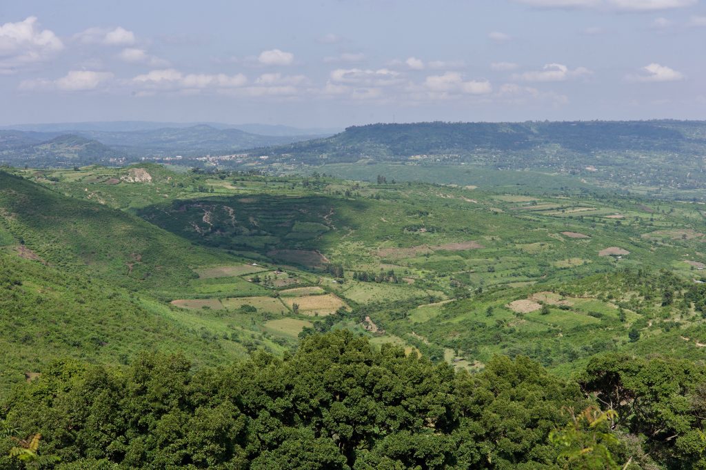 Identifying degradation stages | Restoring degraded African landscapes